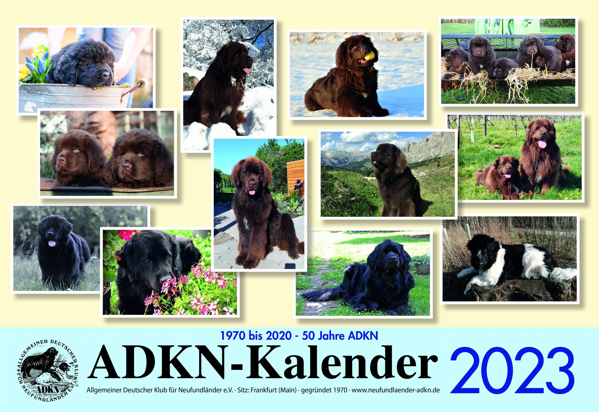 ADKN - Allgemeiner Deutscher Klub für Neufundländer e.V.